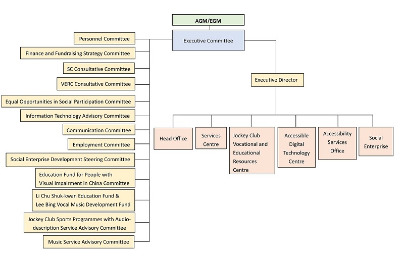 Hong Kong Blind Union - Organization Chart